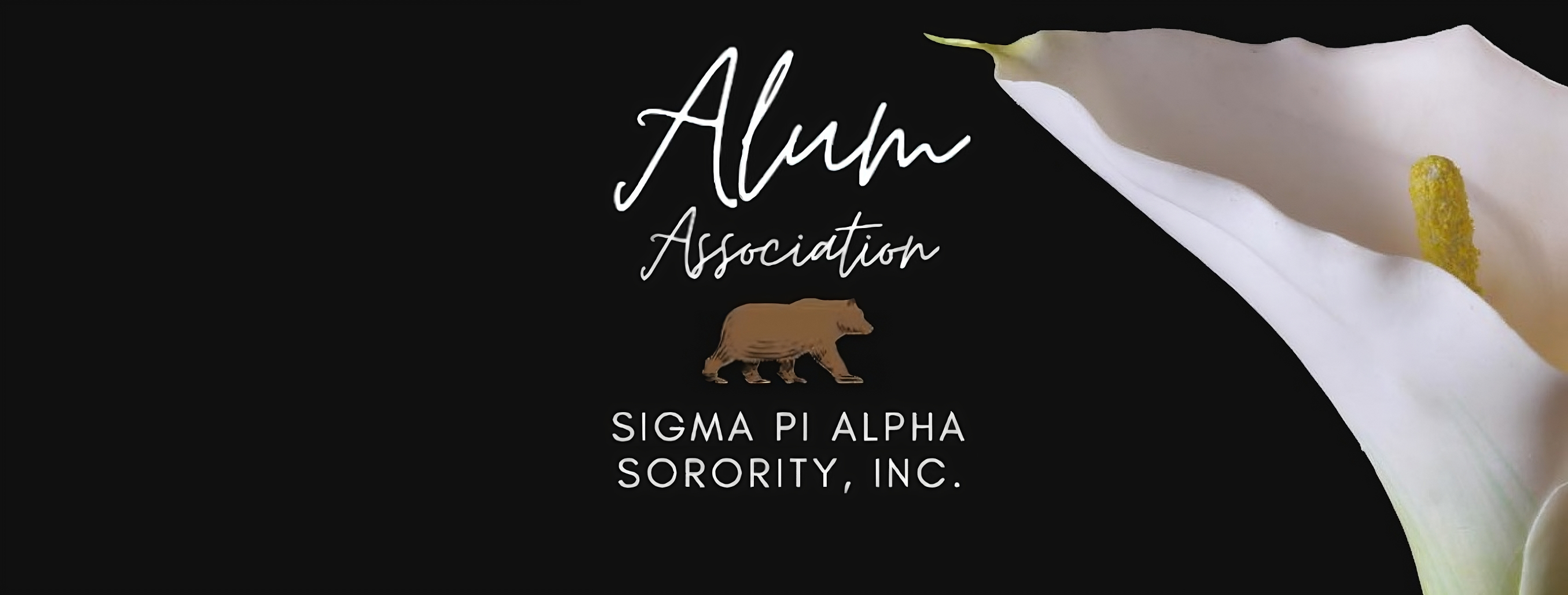Alums - Sigma Pi Alpha Sorority, Inc.